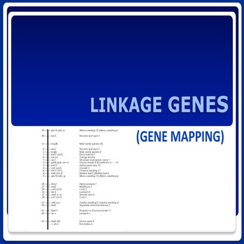 Bft1033 6 linkage genes_print | PDF