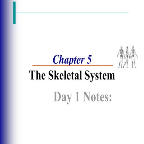 Ch.5skeletalSystem.pptx