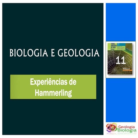 Bg 11 experiências de hammerling | PDF