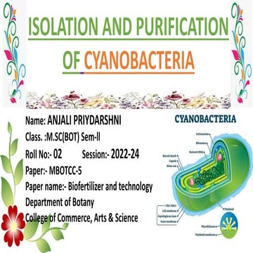 Isolation and purification of Cyanobacteria | PPTX
