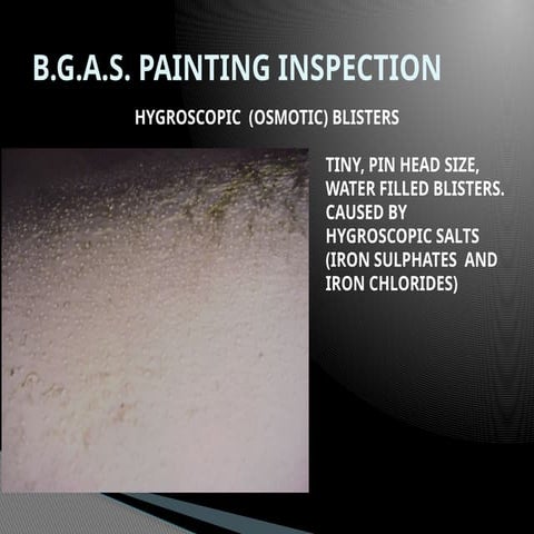 Painting Inspection BGAS Slide Show.pptx