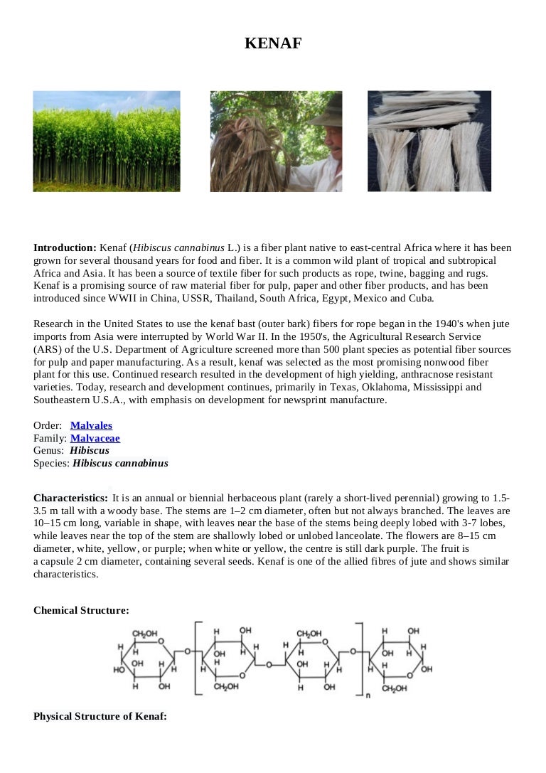 KENAF