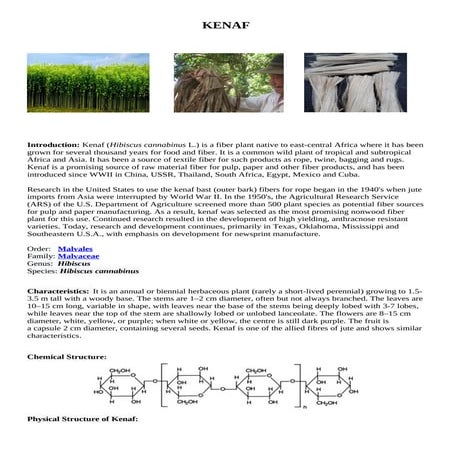 KENAF | PDF