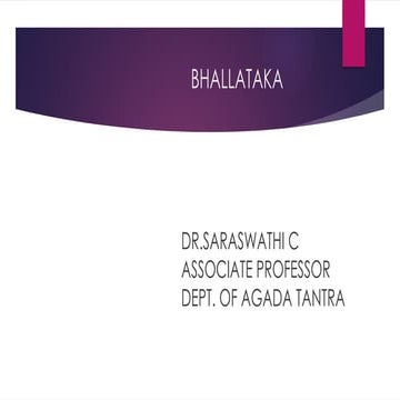 bhallataka-semicarpus anacardium plant.pptx