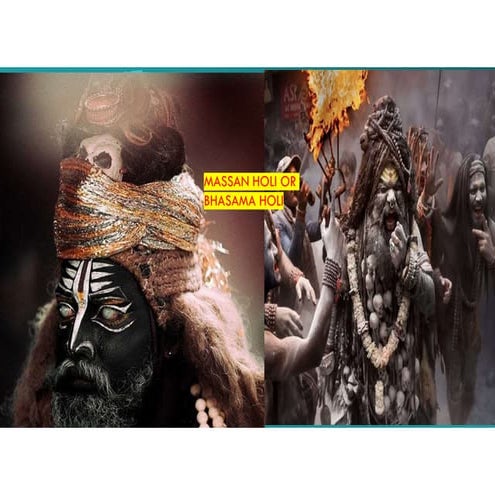 BHASAM HOLI.pdf film study cinema.prince | PDF