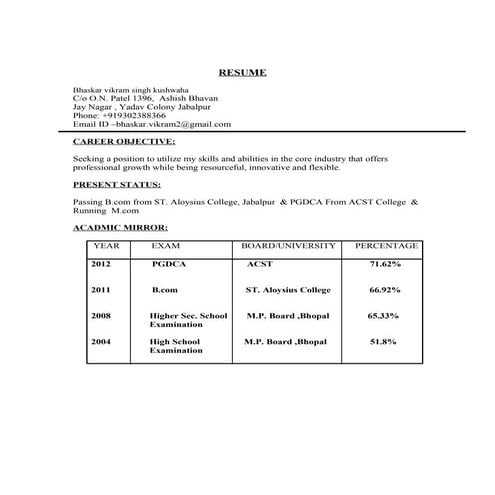 Bhaskar resume word | DOC
