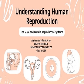 Human reproduction male and female reproductive system | PPTX