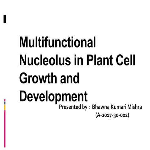 Multifunctional nucleolus in Plant cell growth and development. | PPTX