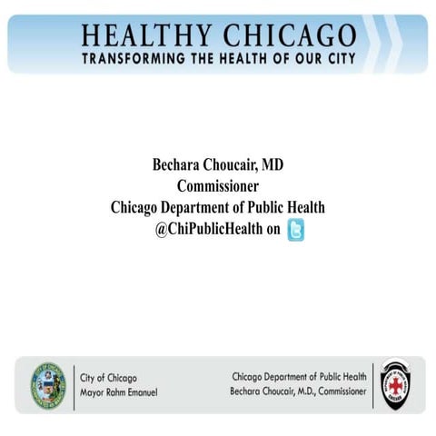 Healthy Chicago- Implementation Update | PPTX