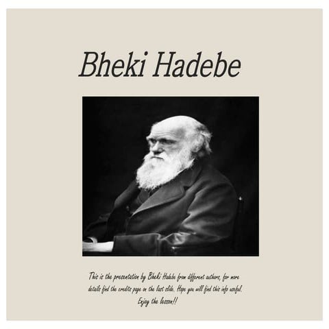 Bheki hadebe | PPT