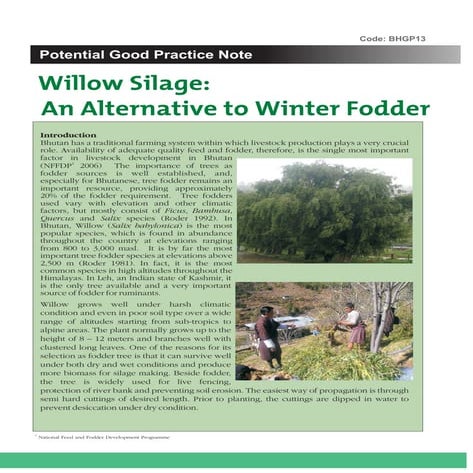 Willow Silage: an Alternative to Winter Fodder (BHGP13 - Potential Good ...