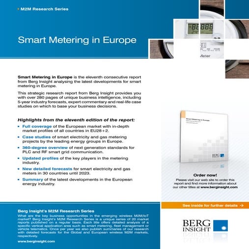 Smart Metering in Europe | PDF