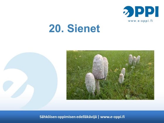 Symbioosi 1 / luku 19 | PDF