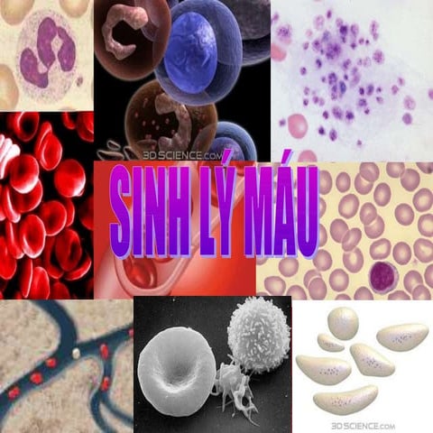 Sinh lý dịch cơ thể | PPT