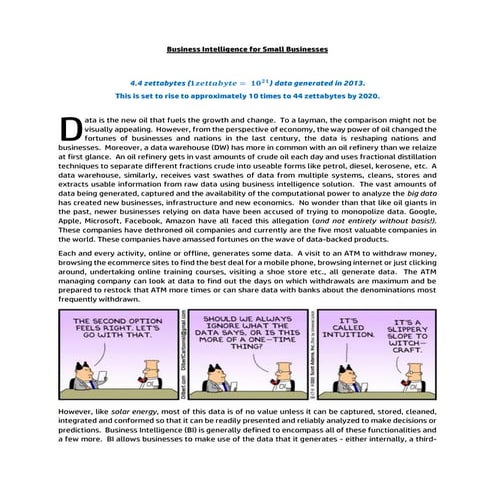 BI and Data Reporting for Small Businesses.pdf
