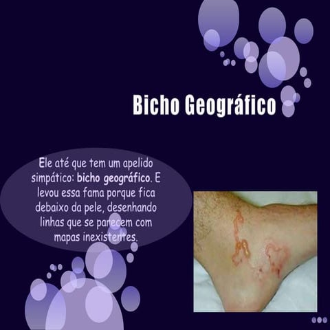 Bicho geográfico | PPTX
