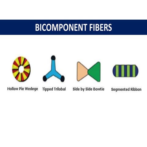 Bicomponent fibers | PPTX