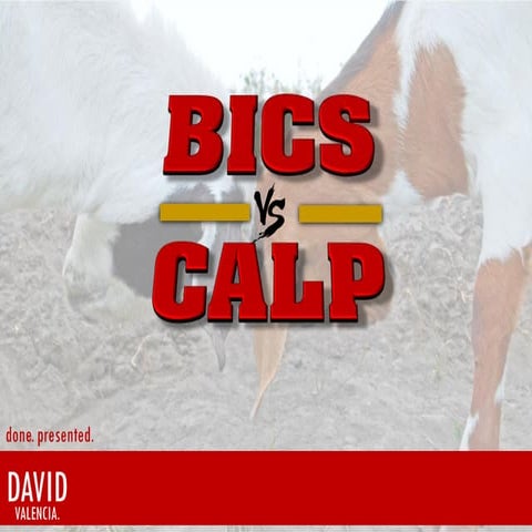 Bics calp | PDF
