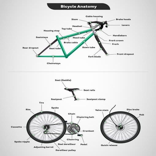Bicycle Anatomy.pdf