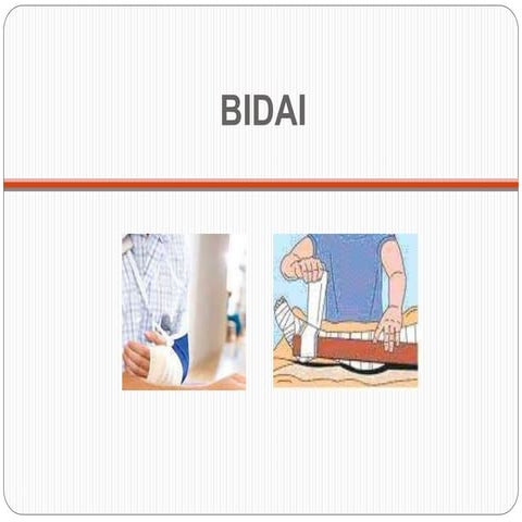 Bidai.ppt