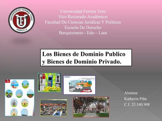 Bienes del dominio publico y bienes del dominio privado | PPT
