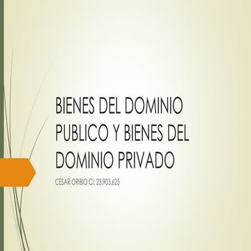Bienes del dominio publico y bienes del dominio privado | PPTX