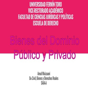 Bienes del dominio público y privado | PPTX