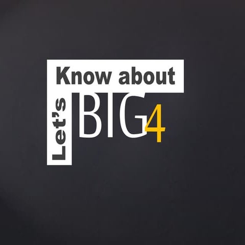 Big 4 | PPTX