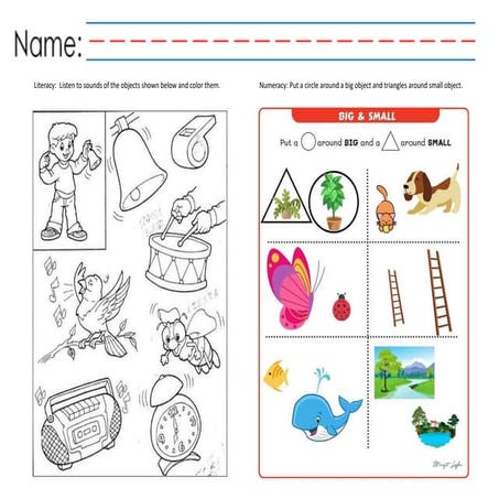 Big and Small and Long or Short Week 4.docx