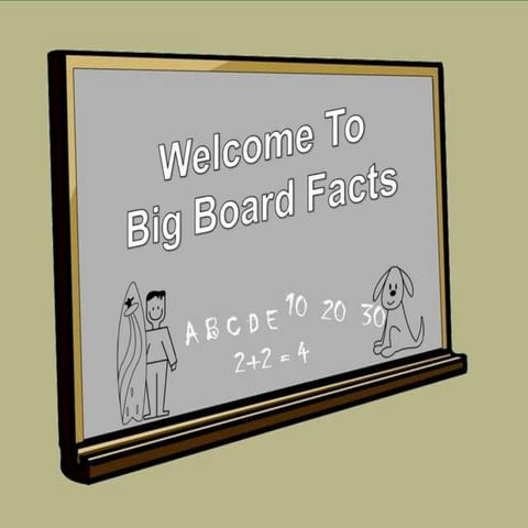 Big board of facts v2 | PPTX