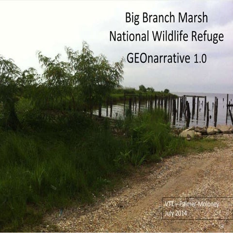 Big Branch Marsh Map