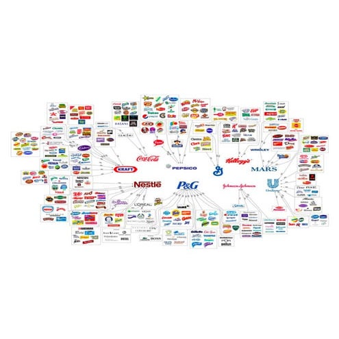 Big brand ecosystem | PDF