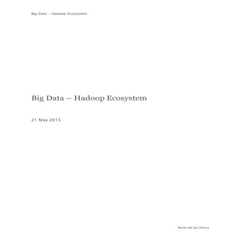 Big Data Hadoop Ecosystem Docx