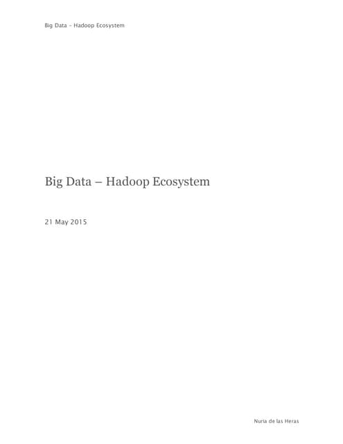 Big Data Hadoop Ecosystem Docx