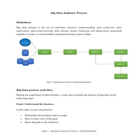 Big data Industry Process | PDF | Technology Industry | Industries