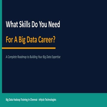 What Skills Do You Need for a Big Data Career? | PDF