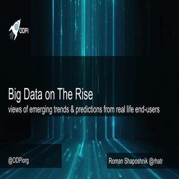 Big Data on The Rise: Views of Emerging Trends from real life end-users ...