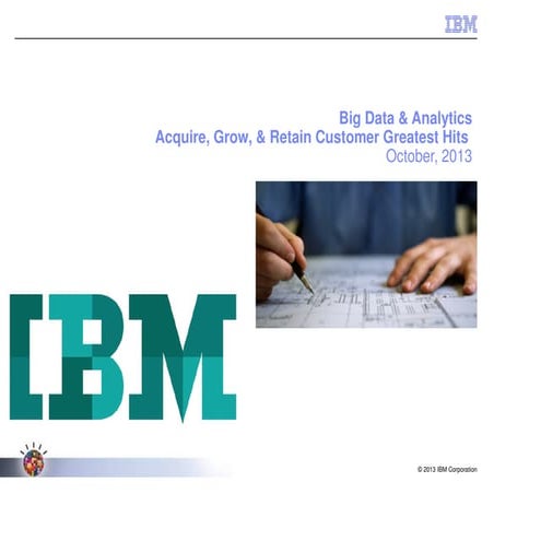 Acquire, grow and retain customers with IBM Big Data & Analytics - Client Examples | PDF
