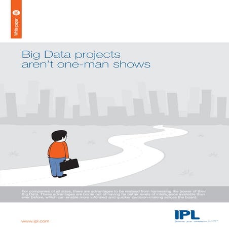 Big Data Readiness White Paper Pdf