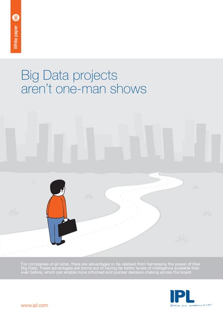 Big Data Readiness White Paper Pdf