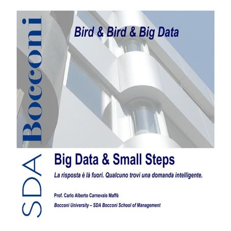 Big data & small steps prof. carnevale maffè | PDF