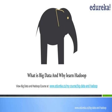 Introduction to Big data tdd and pig unit | PPTX | Programming Languages | Computing