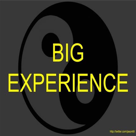 Big experience - A concept model for digital strategy & product ...
