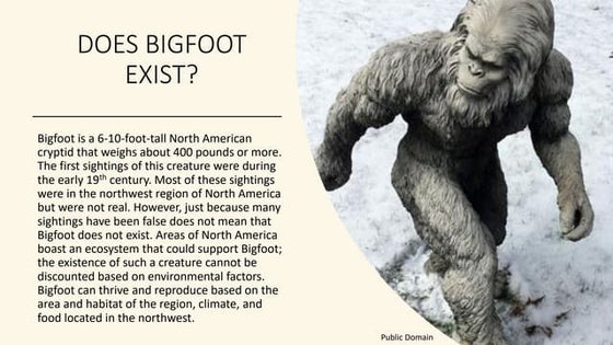 Grizzly bear’s | PPTX | North America Travel | Travel Locations