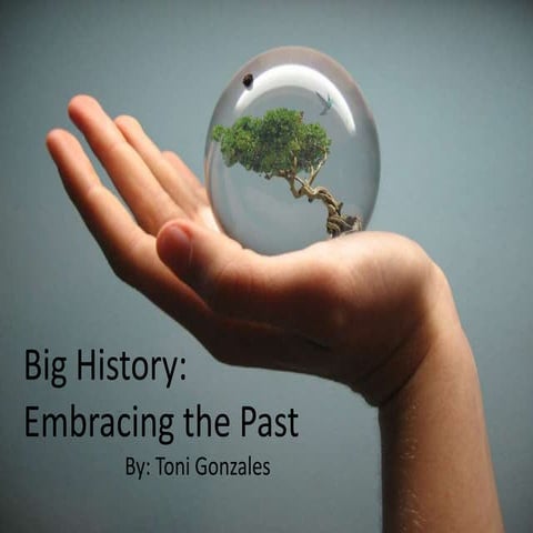 Big History | PDF