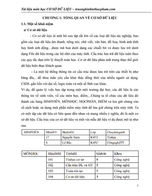Cơ Sở Dữ Liệu - Chương 1 | PDF