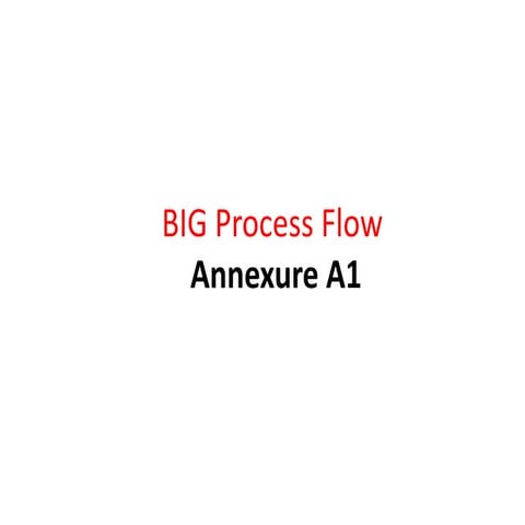 BIG Process Flows Annex BIG Process Flow | PPT