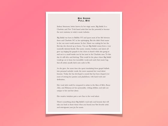 Stage Plot (Big Siddd).pdf