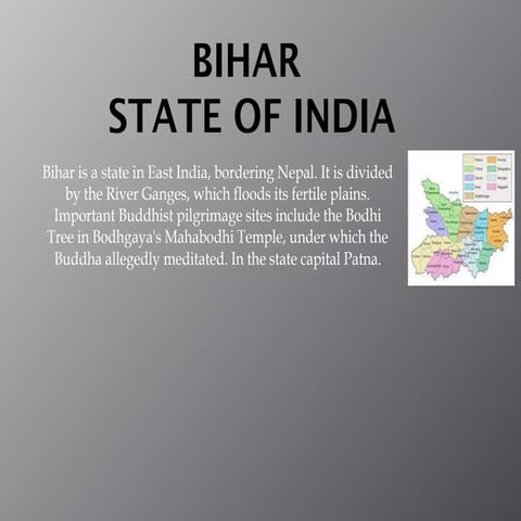 BIHAR and the population of the bihar and rising danger of the ...