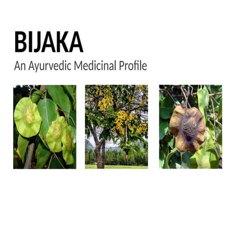 Bijaka_Pterocarpus_marsupium_Profile.pptx